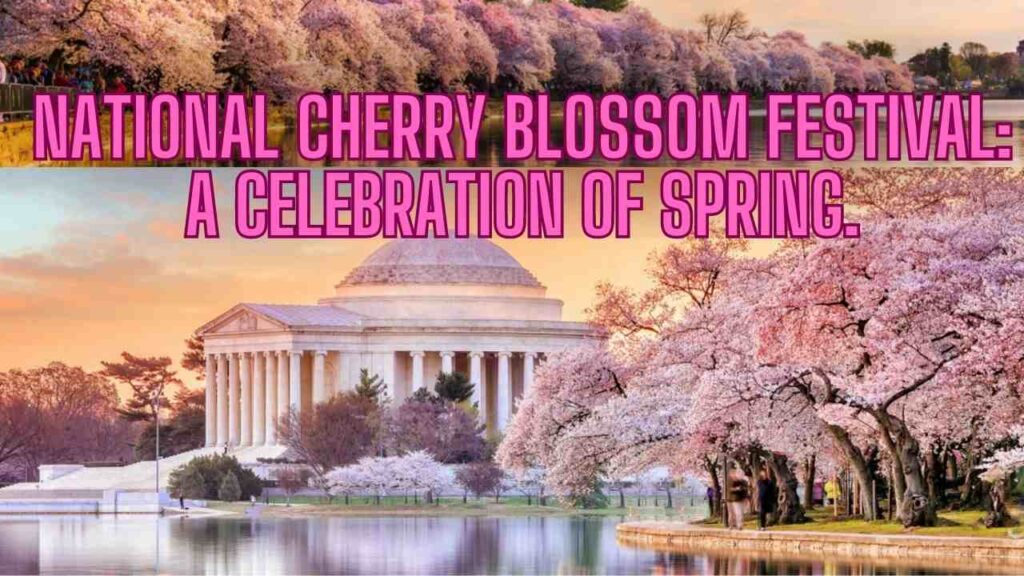 National Cherry Blossom Festival: A Celebration Of Spring. - Wisdom Imbibe