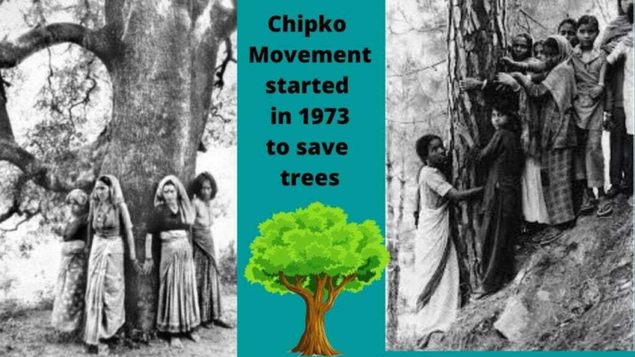 World Environment Day: Why It Is Celebrated? - Wisdom Imbibe