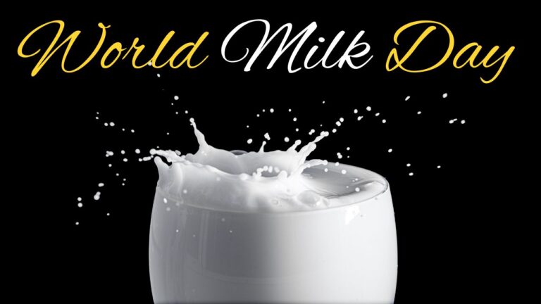 World Milk Day: Celebrating The Power Of Milk - Wisdom Imbibe