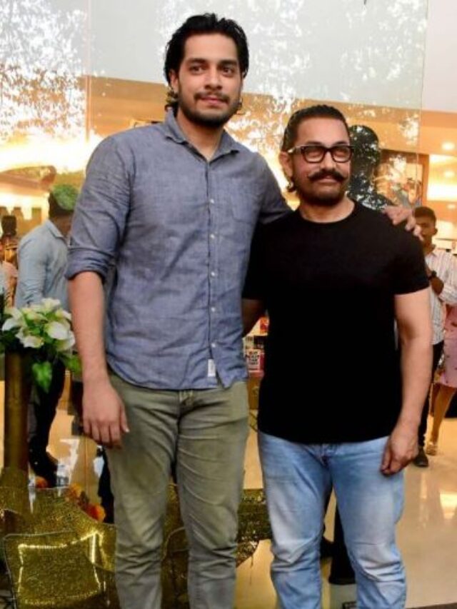 Aamir's Son Junaid Khan To Portray Transwoman In Play 'Strictly ...