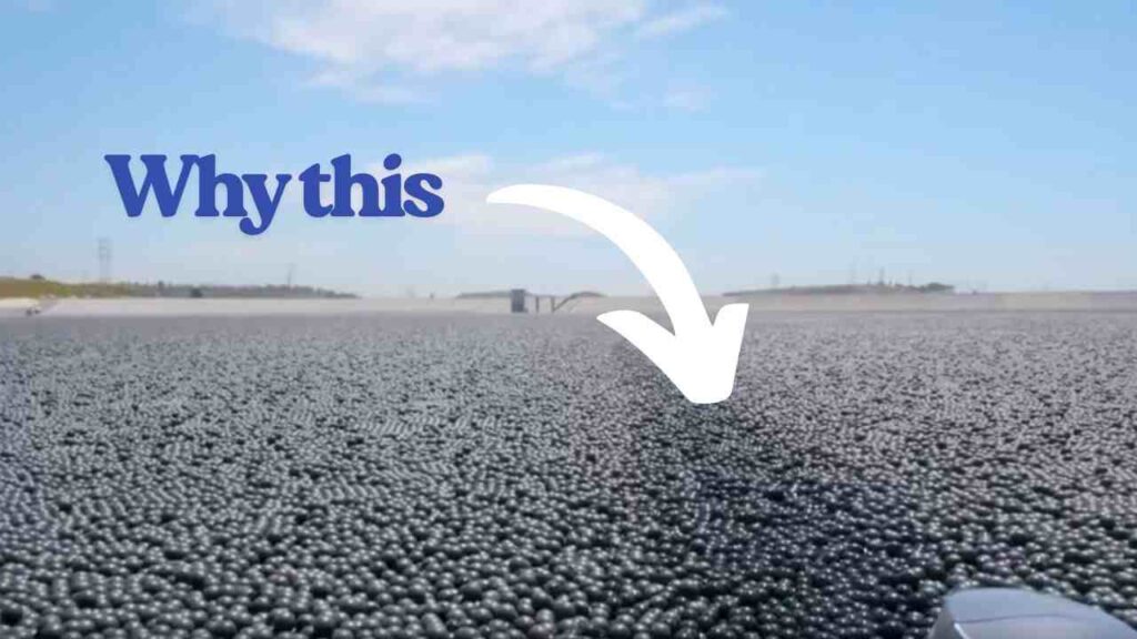 Why LA Dumped 96 Million Black Balls Into A Reservoir (And Why It’s ...